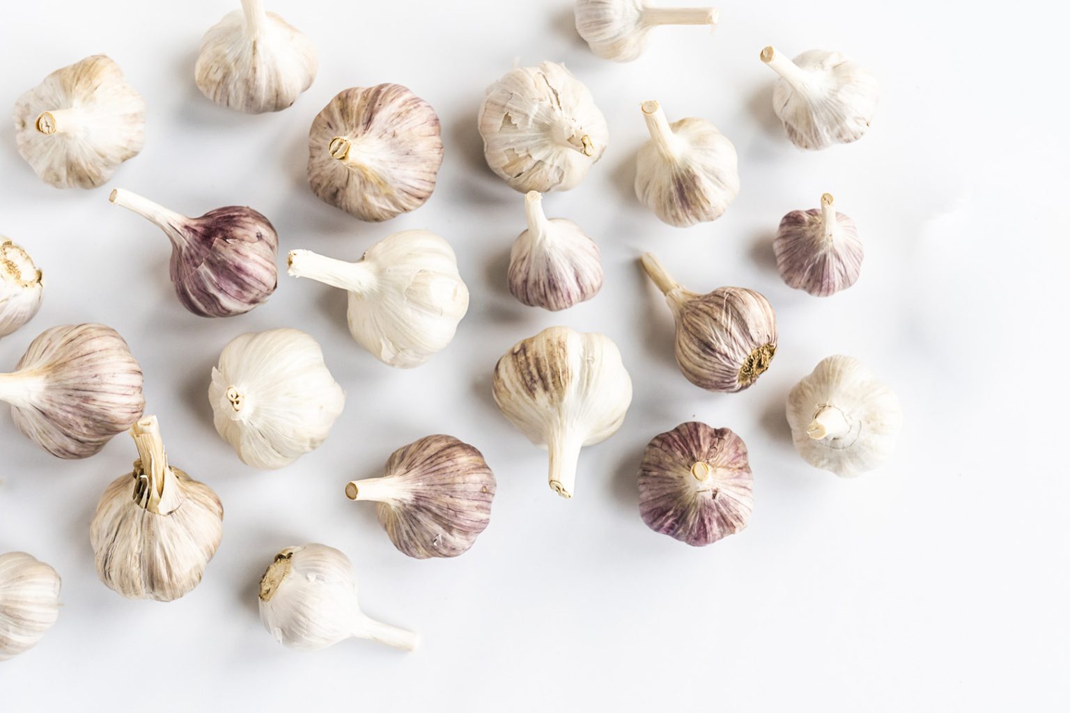 The best garlic types for your Zone 6 garden - Dragonfly Hill Farm and ...